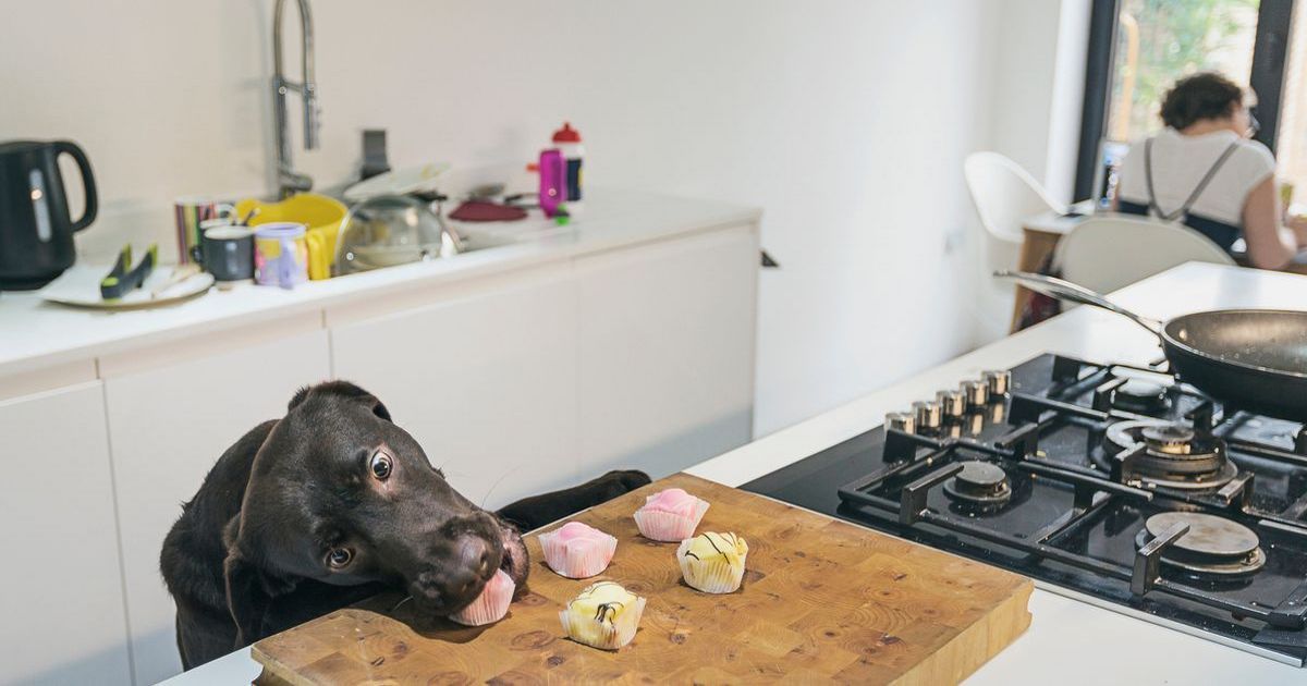 Mum-to-be refuses to pay for gender reveal cupcakes…