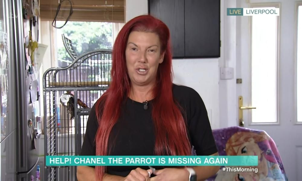 Woman whose search for parrot Chanel went viral…