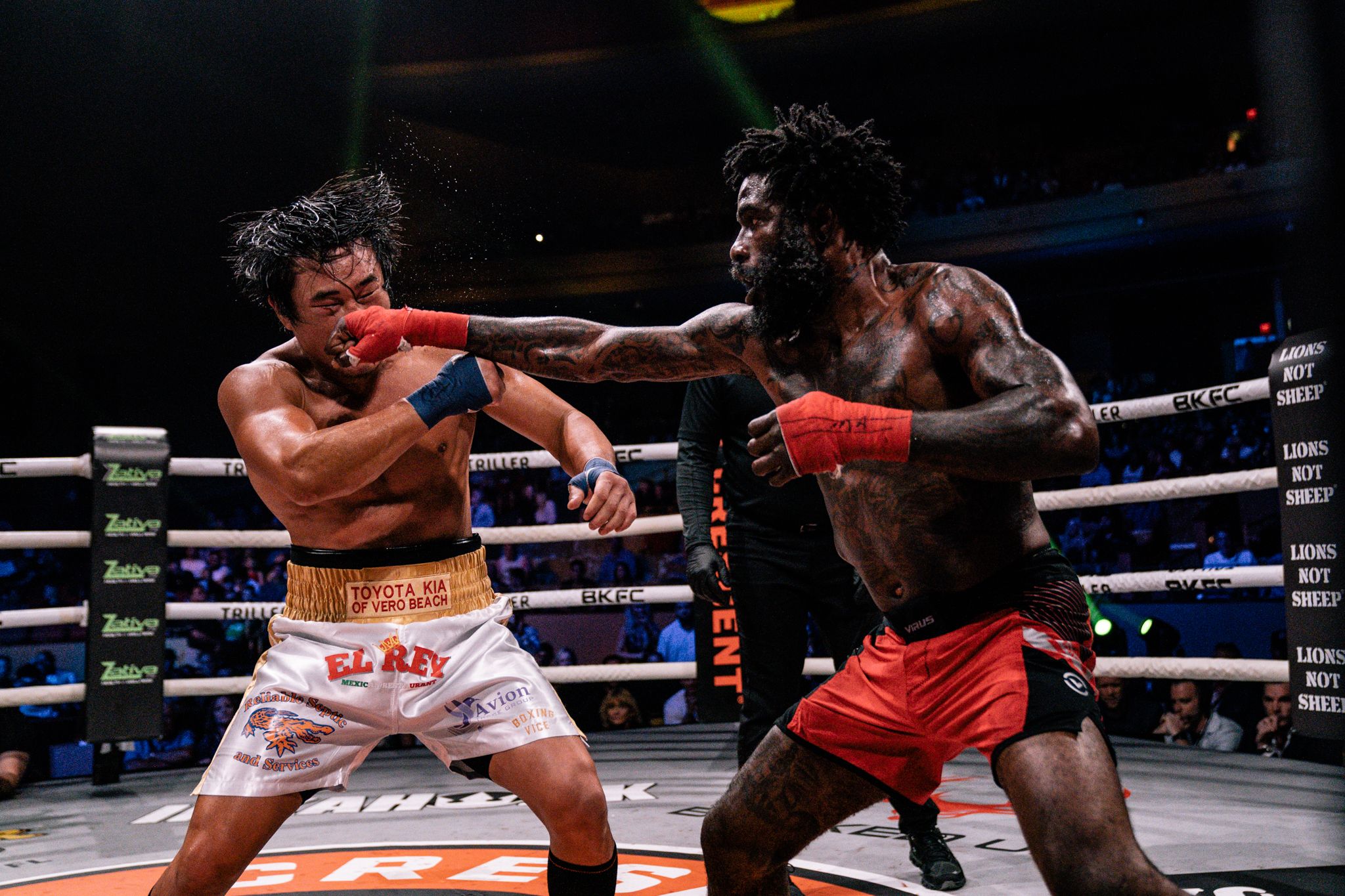 BKFC 38: Best photos from Florida