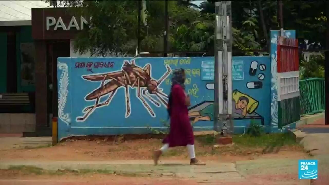 World Malaria Day: Social workers’ activist approach…