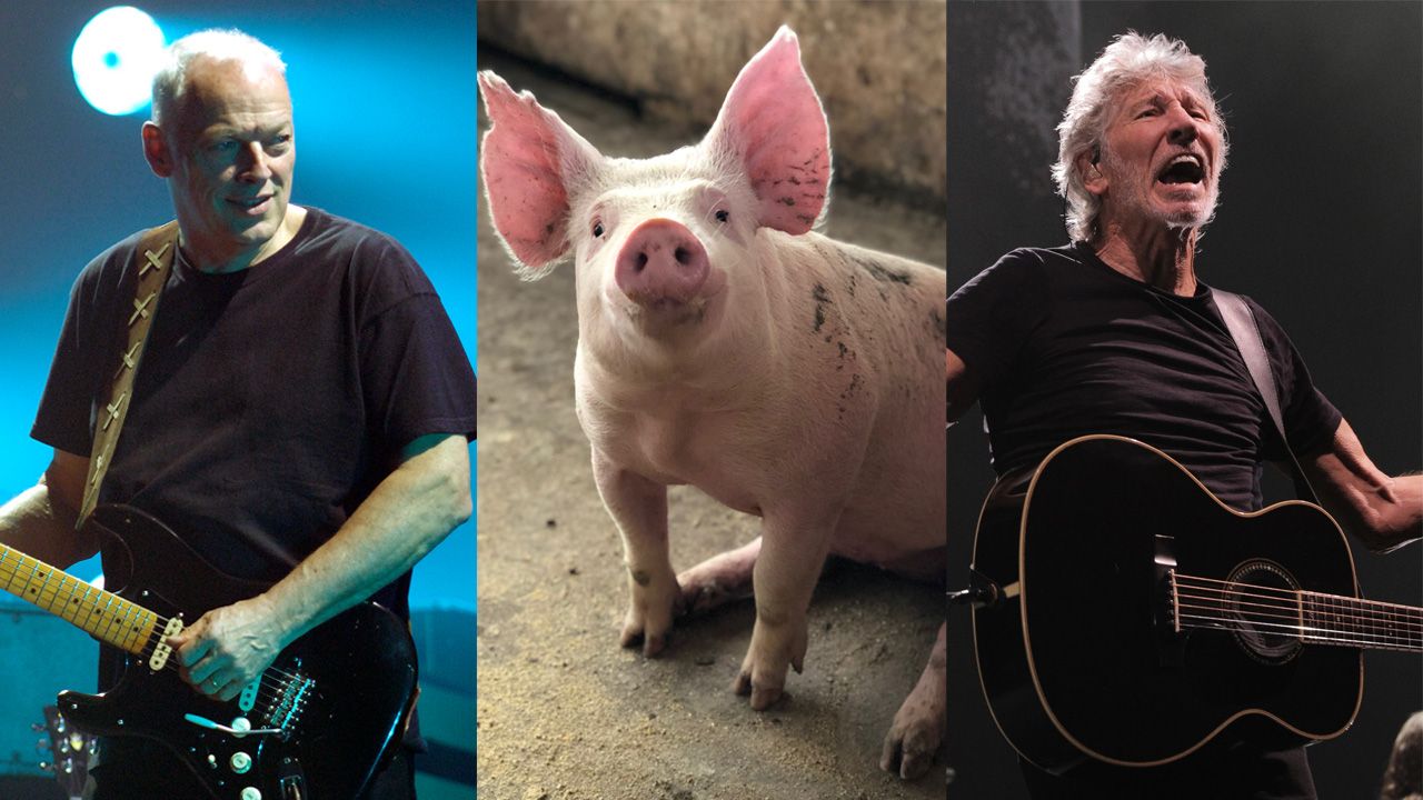 How David Gilmour used a pair of pigs’ testicles to…