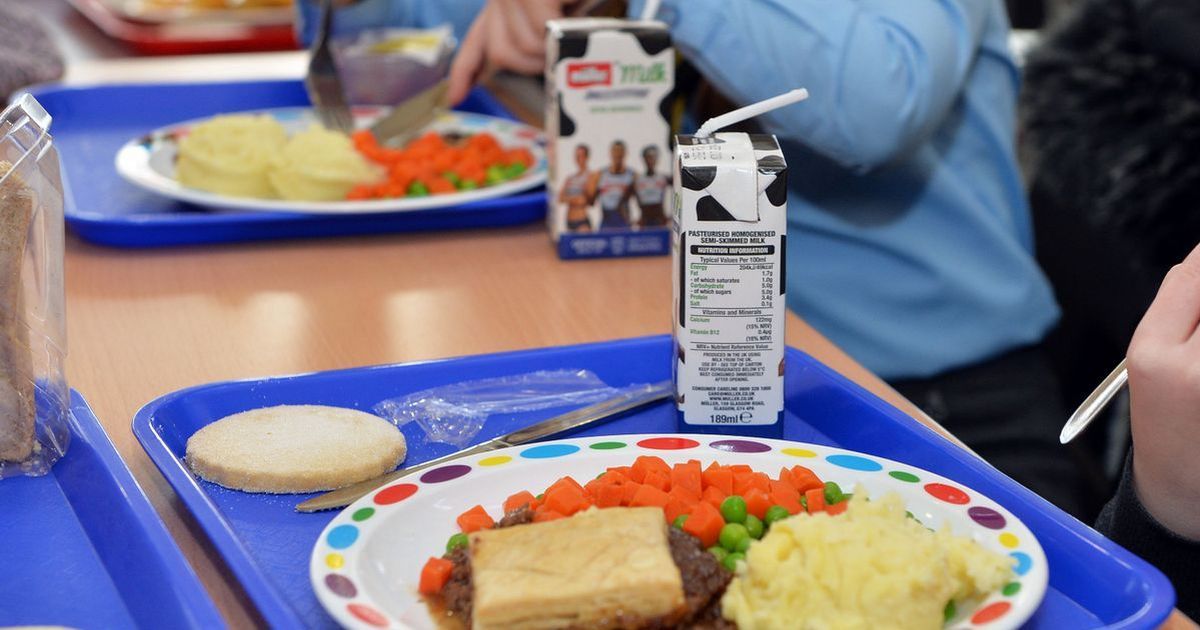 Council demands free school meals for all children in…