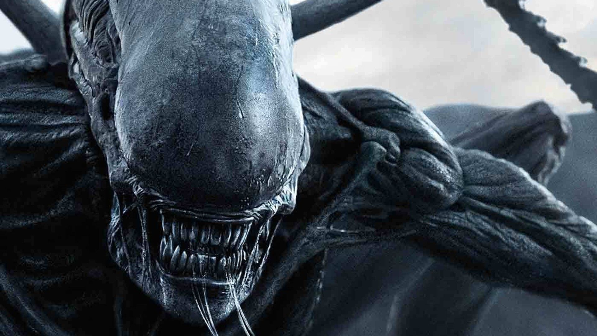 First look at Fede Alvarez's Alien movie is a…