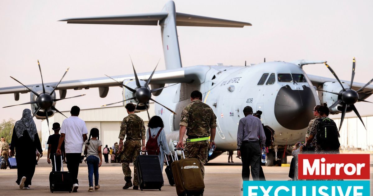 Student fleeing Sudan for UK says dogs are eating dead…