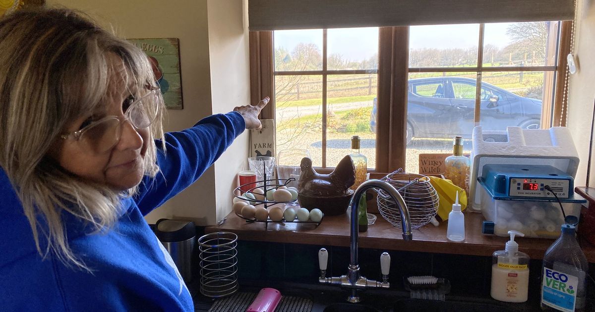 Beast of Bont 'alive and well' as farmer spots 'bloody…