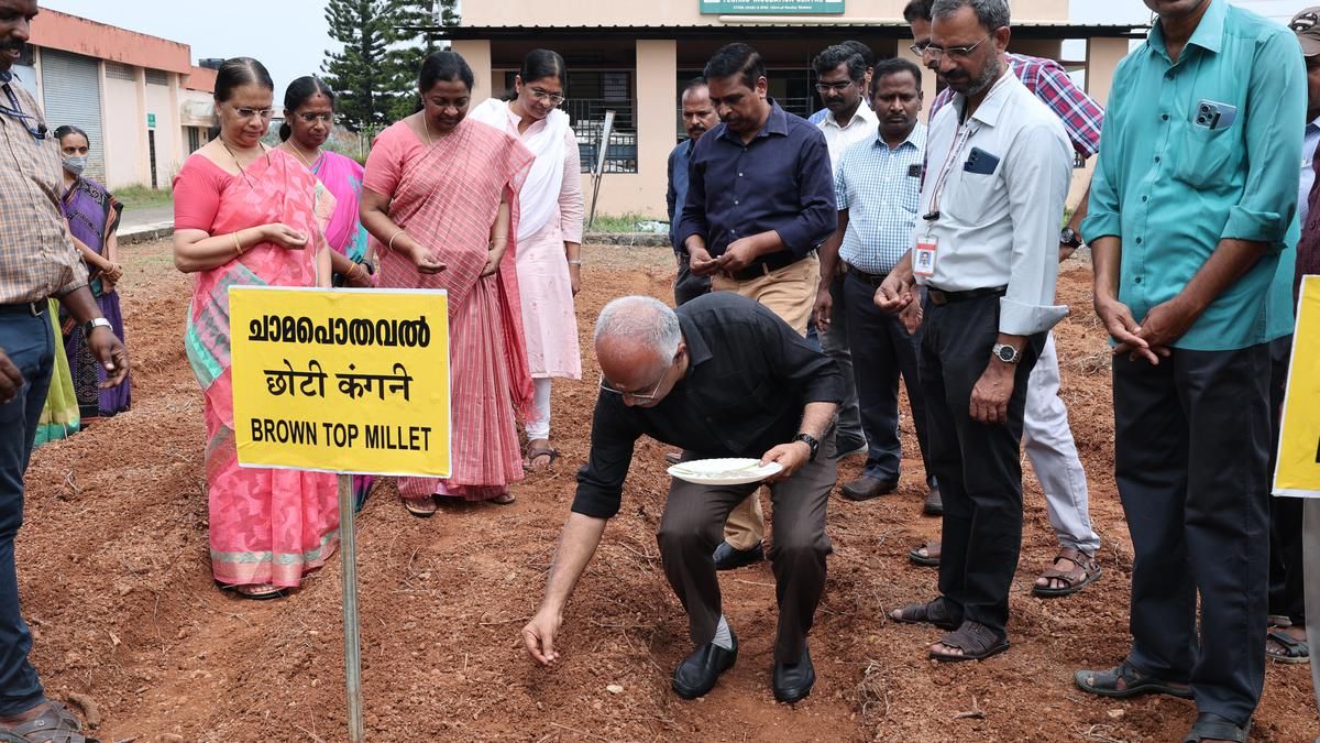 ICAR-CTCRI sets up a ‘millet museum’