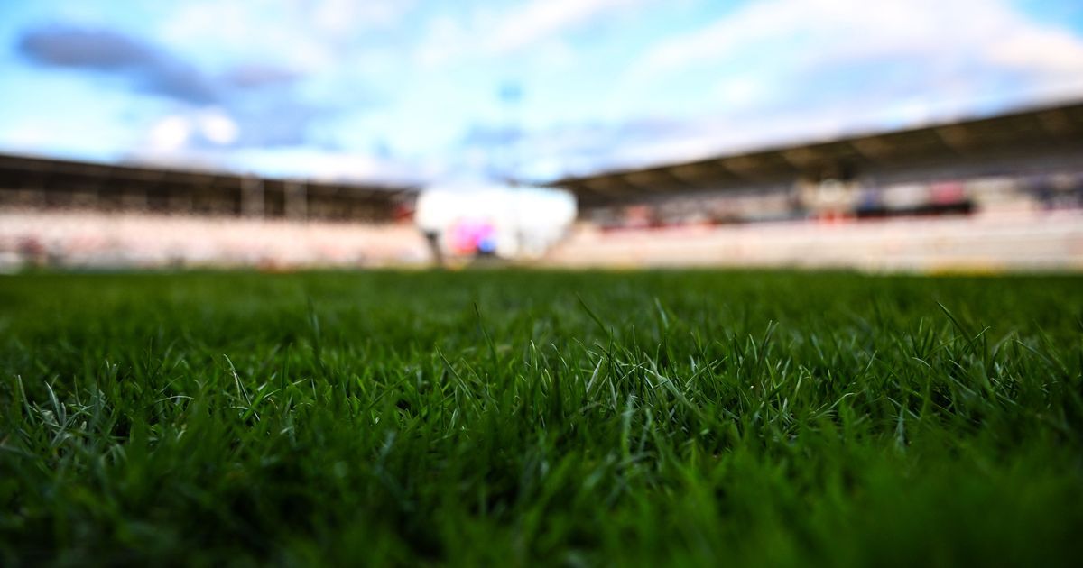 Staggering cost of running Welsh semi-pro rugby club…