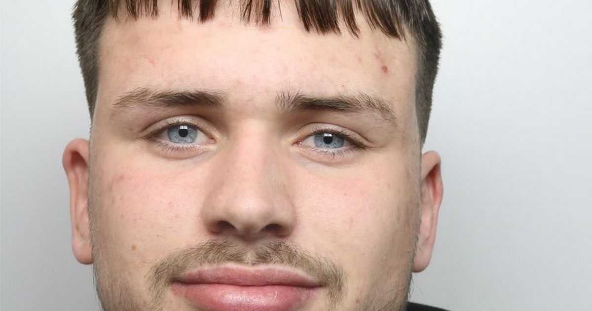 Wanted self-proclaimed Jim Carrey lookalike mocks…