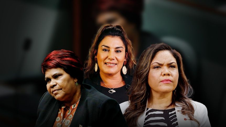 There are 11 First Nations MPs and senators. Here's…