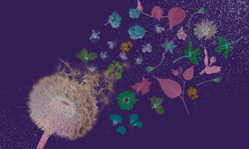 Pollen bomb! Six ways to fight hay fever this spring,…