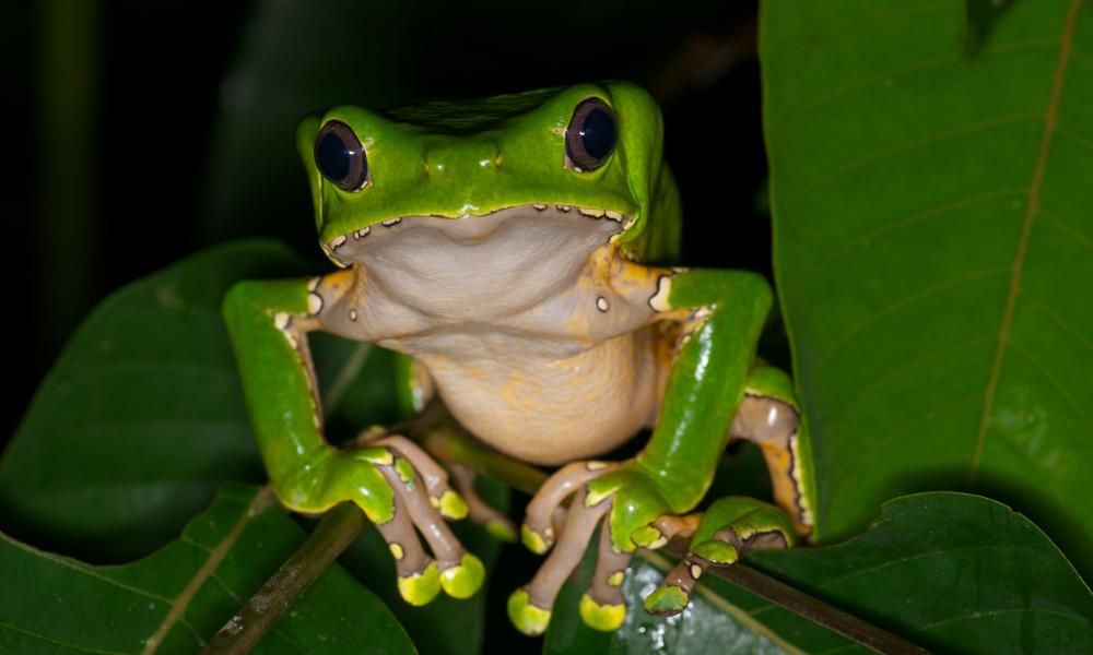 ‘It’s not good’: NSW inquest hears of woman’s last…