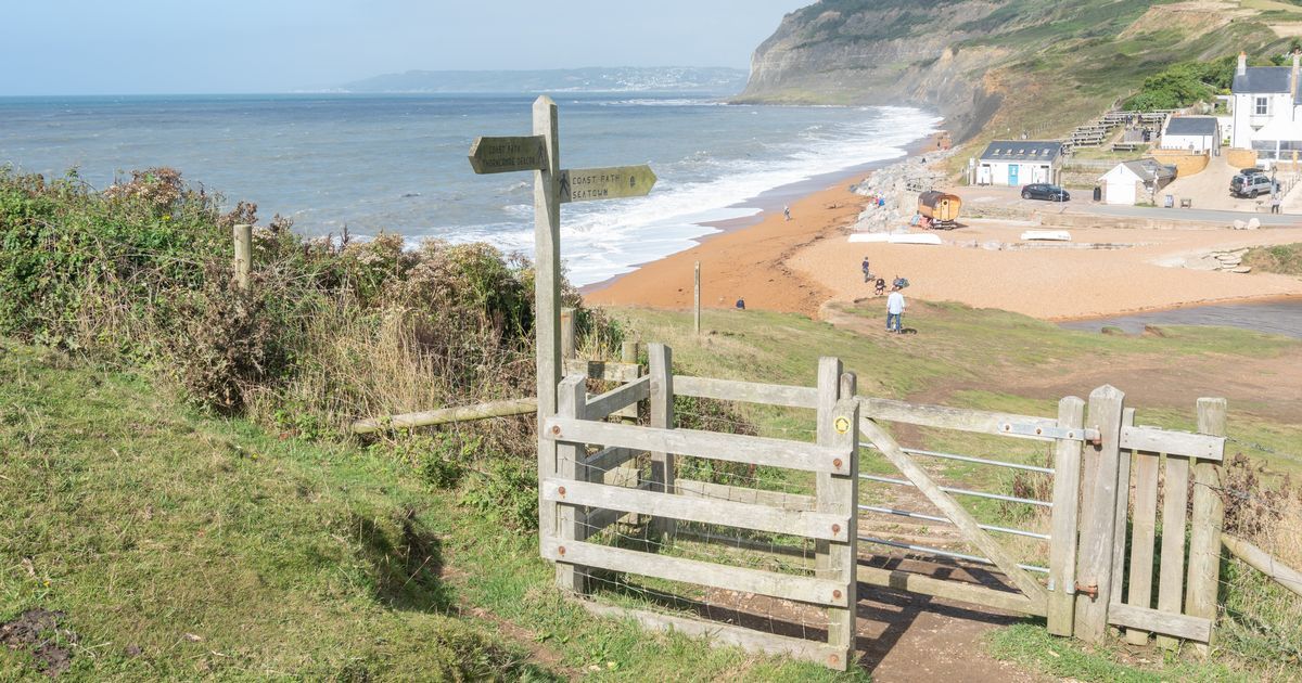 Incredibly beautiful West Country beach you can drive…