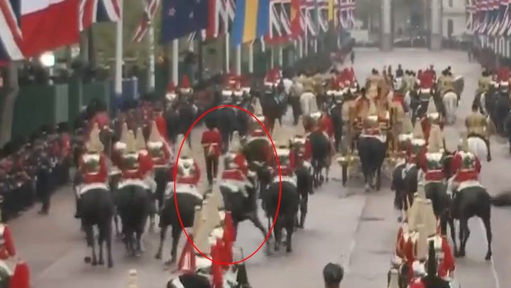 Watch as King’s Guard struggles to control horse…