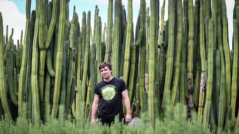 The secret world of Sydney's psychoactive cacti…