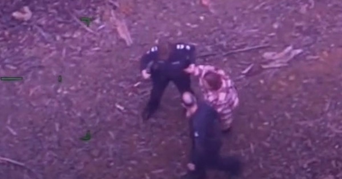 Missing woman survives five days in Australian bush…