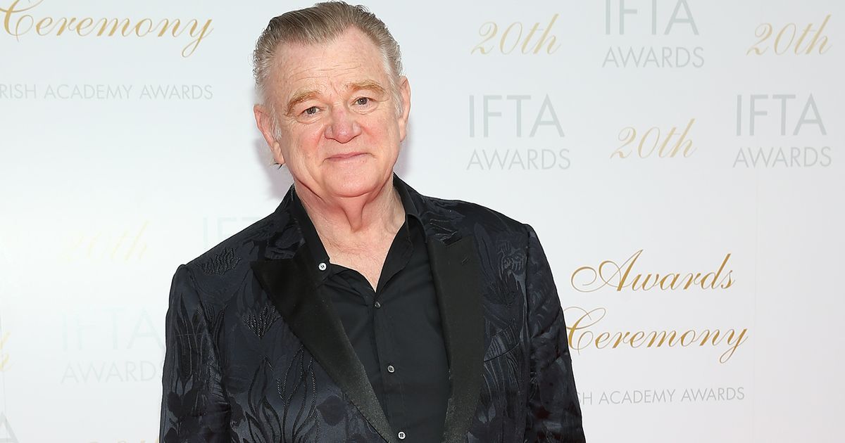 Brendan Gleeson wins IFTA Award for role in The…