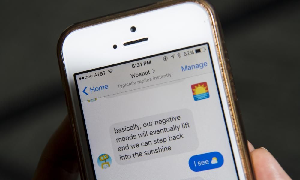 Could an ‘emotional support’ chatbot help me…