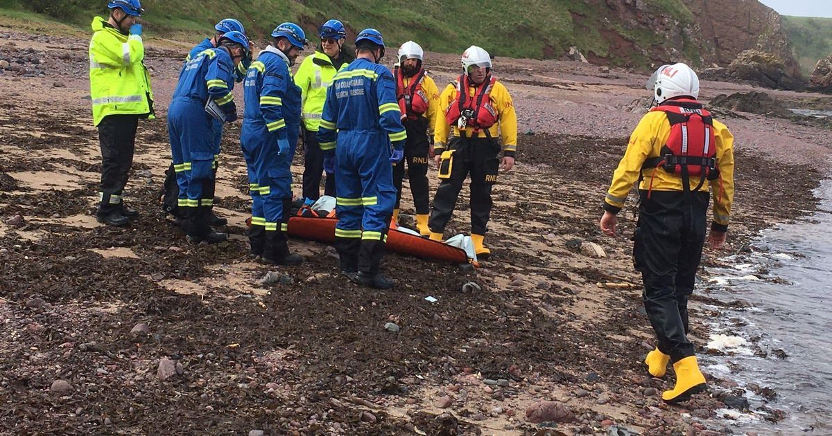 Multi-agency rescue mission after person plunges from…