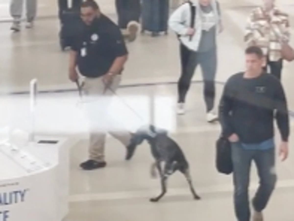 TSA condemns ‘unacceptable’ video of agent…