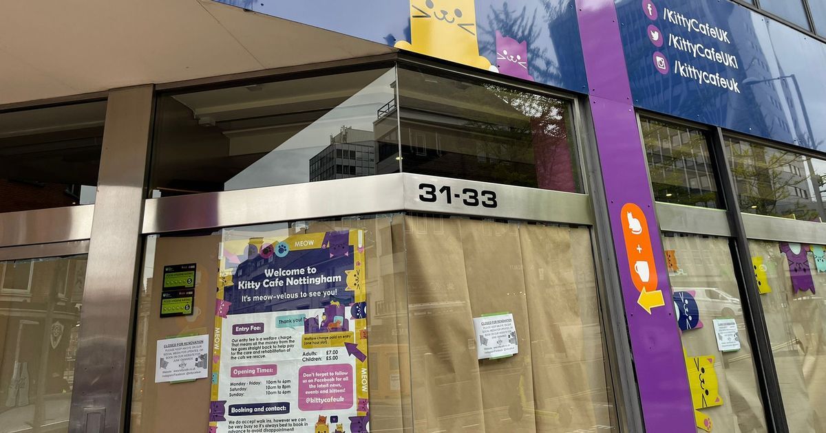 Revamp on the way as Nottingham Kitty Café closes its…