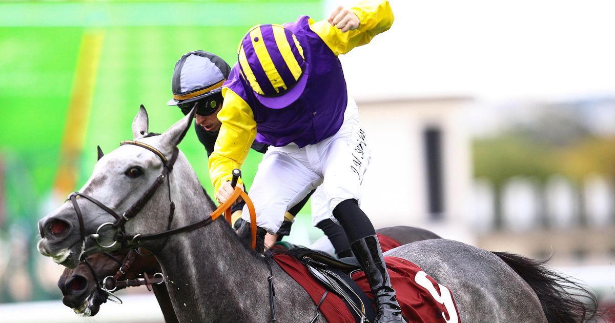 Rags-to-riches mare Princess Zoe leaves trainer who…