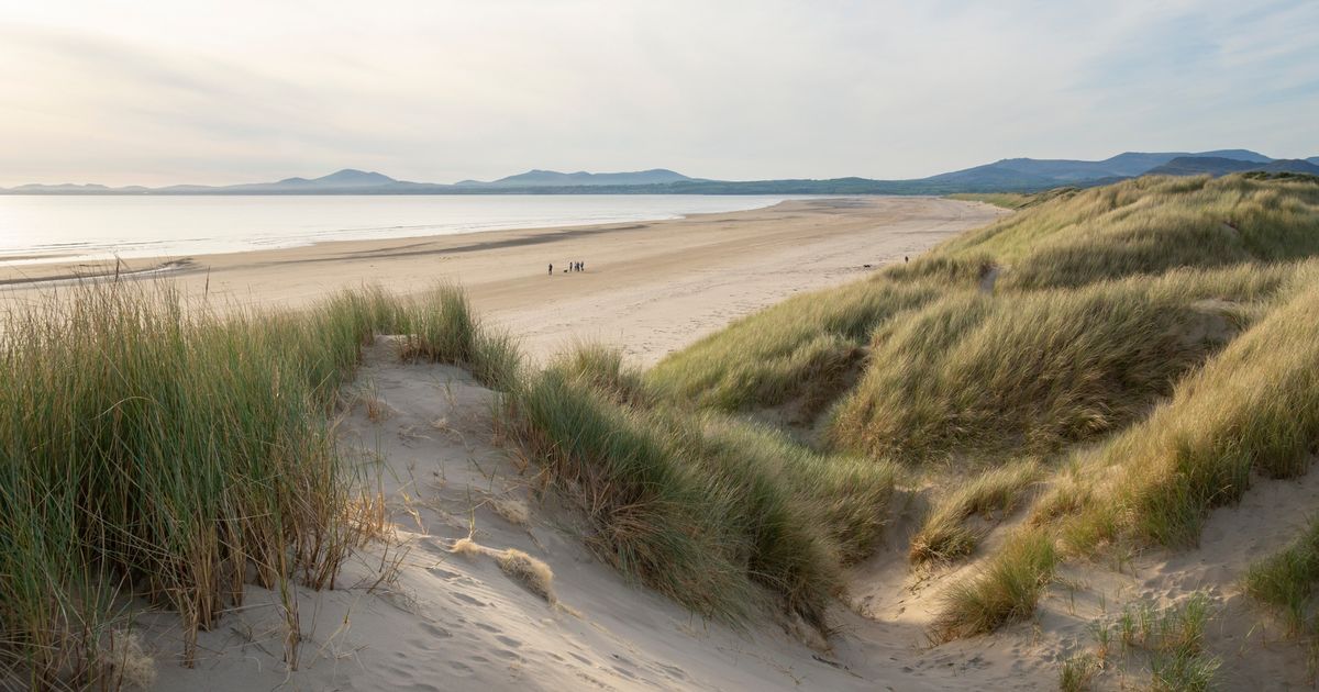Tourists flock to Welsh beach that's 'most calming,…