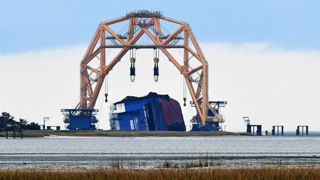 Occupants Of A Sinking Boat A Long With A Dog Were…