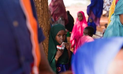 Solving the hunger crisis