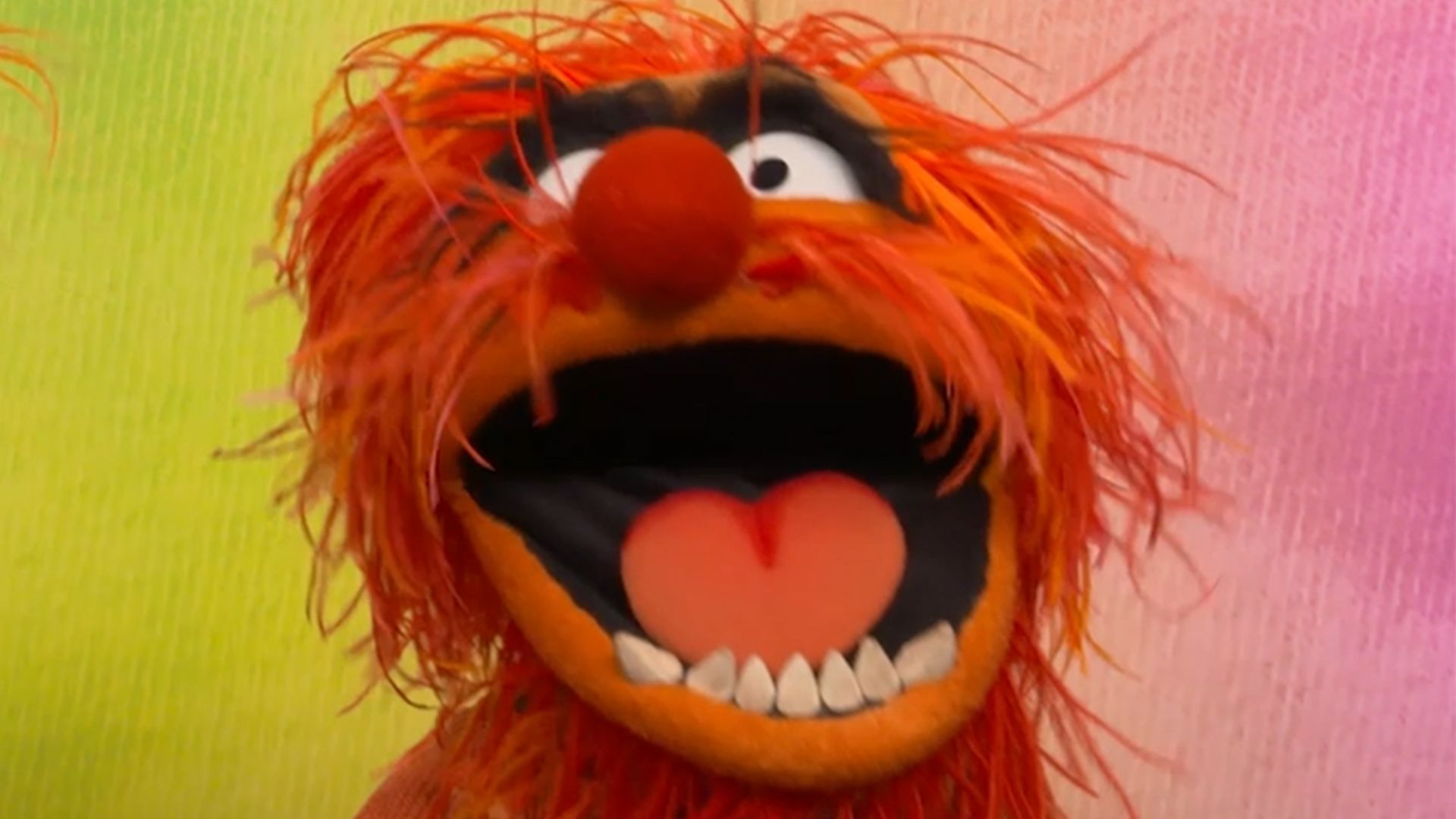 I interviewed The Muppets and I'm certain they Googled…
