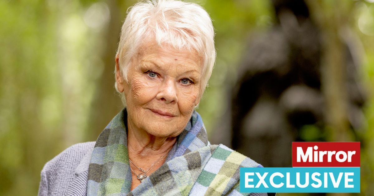Shocked Dame Judi Dench visited by police after claim…