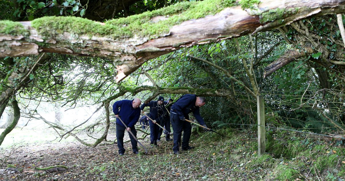 Disturbing stats show 60 people missing in Ireland…