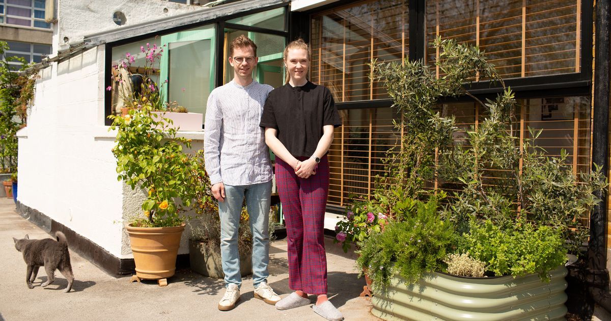 Council sends 'enforcers' into estate to seize plant…