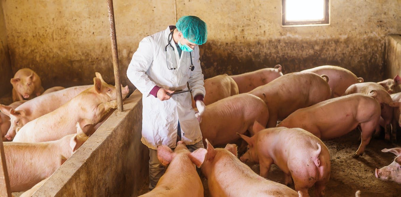 Vaccines using mRNA can protect farm animals against…