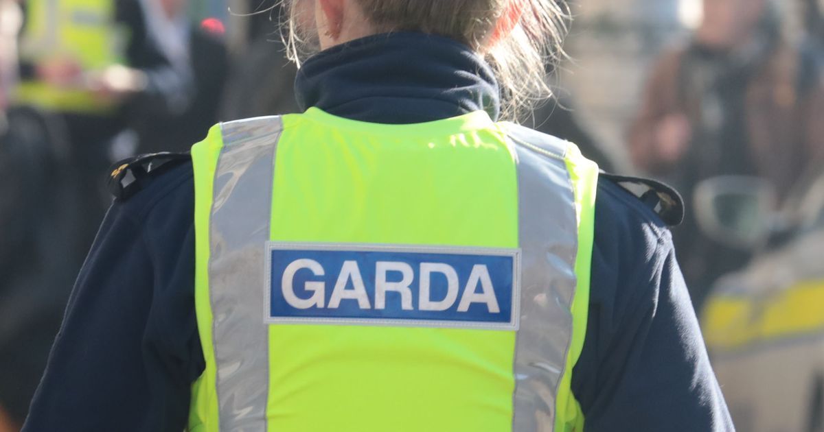 Cork man jailed for dragging Garda 80ft from car door…