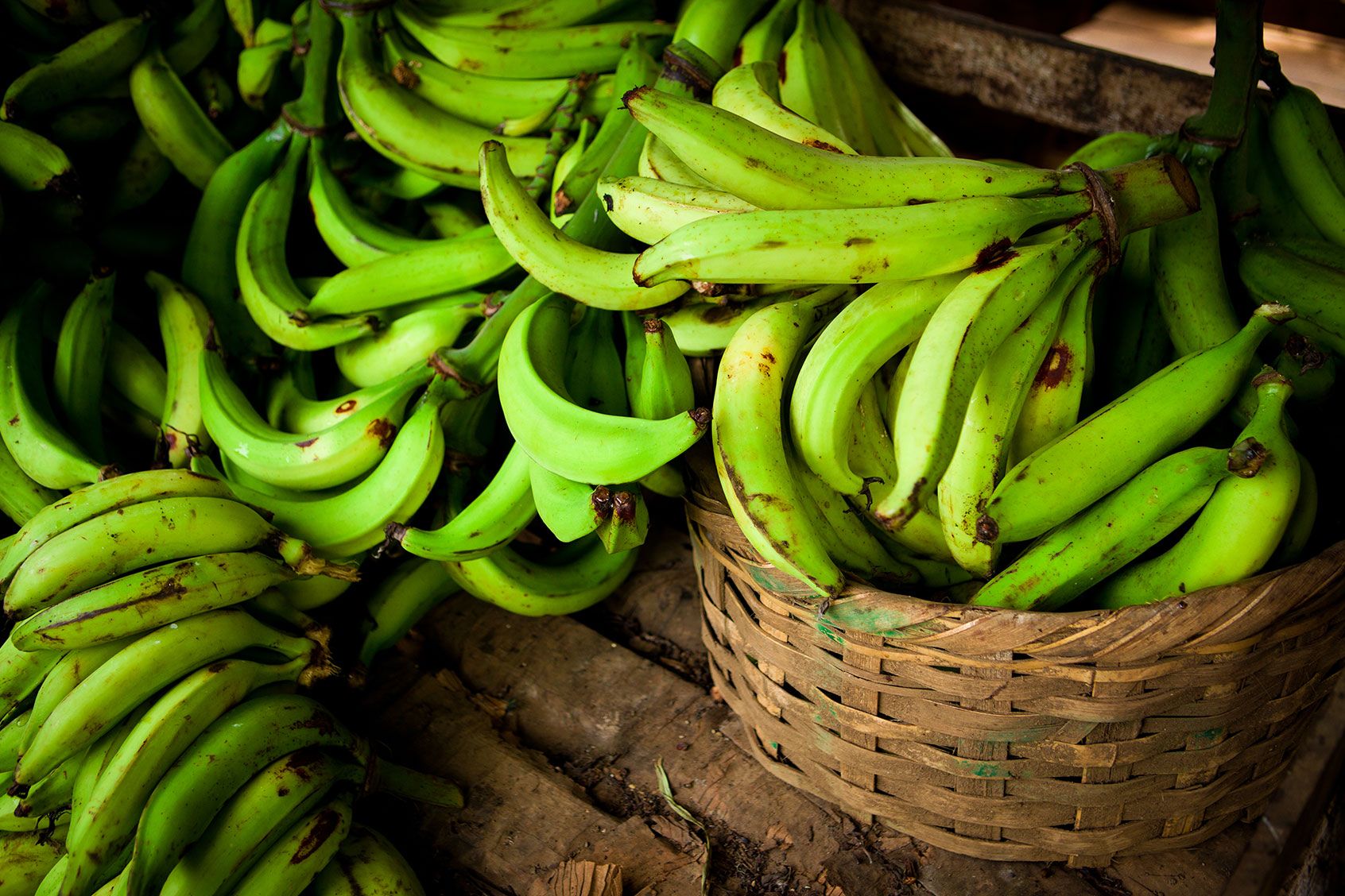 The importance of the plantain press