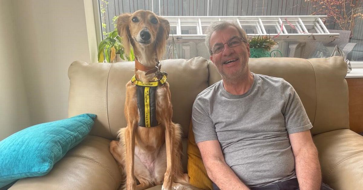Meet the Glasgow dog fosterer helping pooches find…
