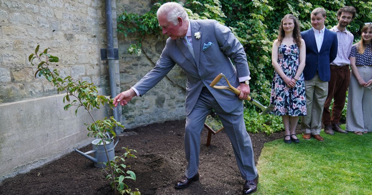 King Charles' bizarre gardening ritual he carries out…