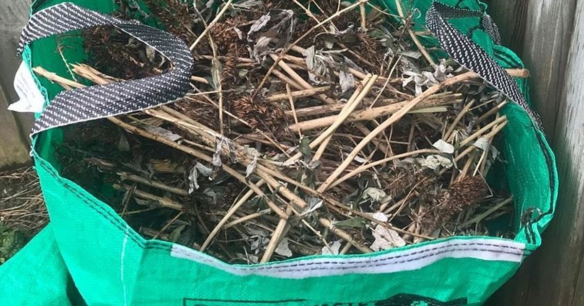 Full details of £40 garden waste permit revealed as…
