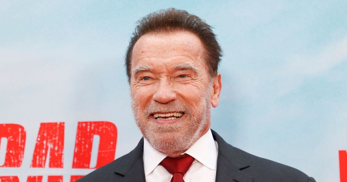 Arnold Schwarzenegger Makes Cheeky Remark About His