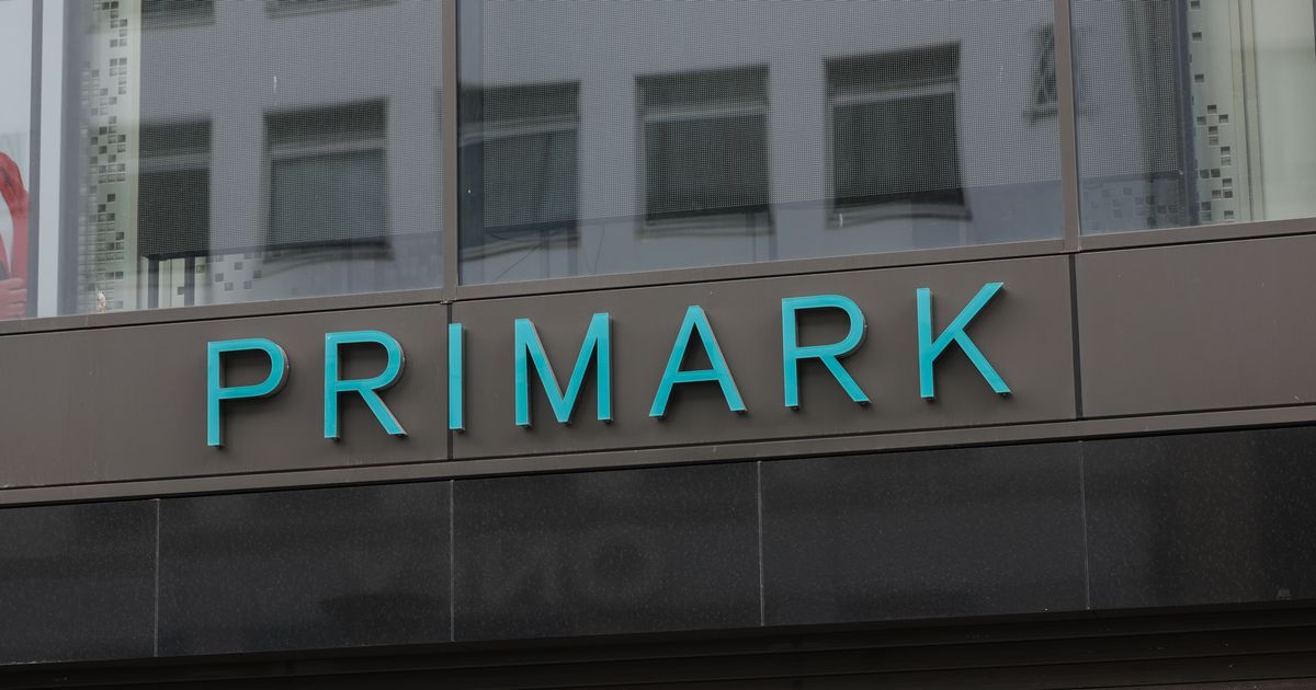 Primark's £14 bag that looks similar to £110 Steve…