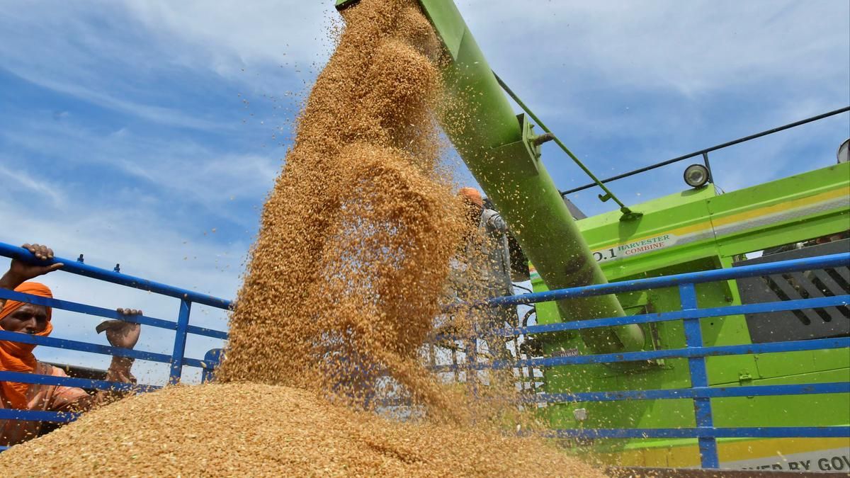 Iron fortification: health risks of excessive iron…