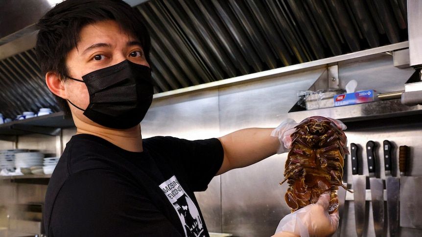 Taiwan restaurant dishes up giant isopod noodles at…