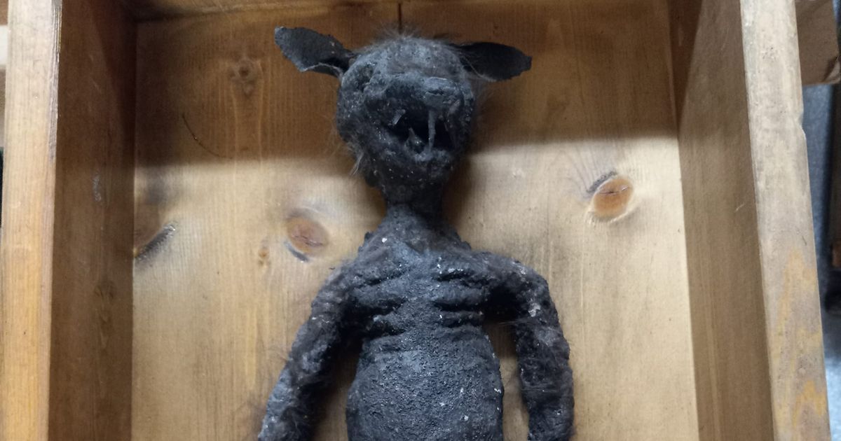Mysterious rodent-human 'mummy' leaves museum pleading…