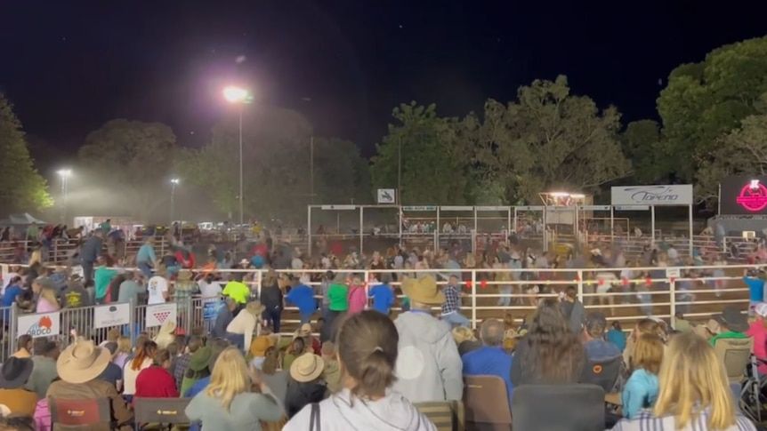 Man and child injured after bull escapes, charges…