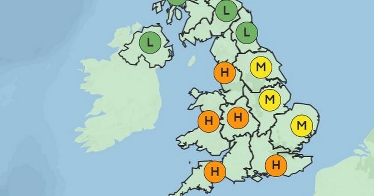 Hay fever warning as pollen bomb blankets UK - check…