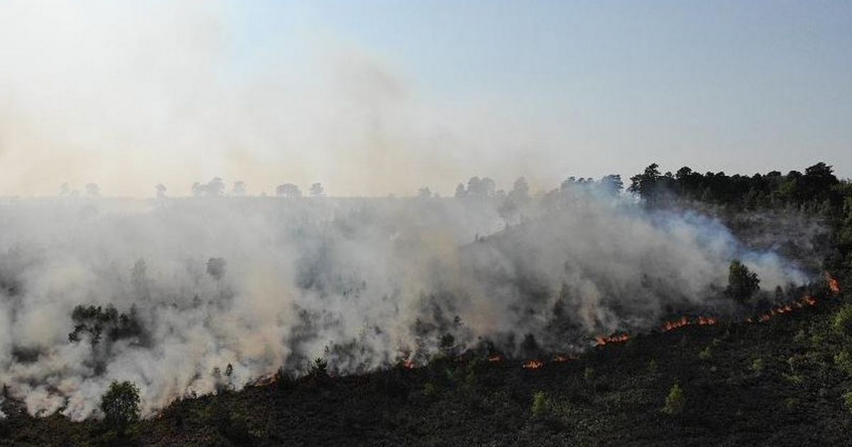 Dramatic photo shows large wildfire ripping through…