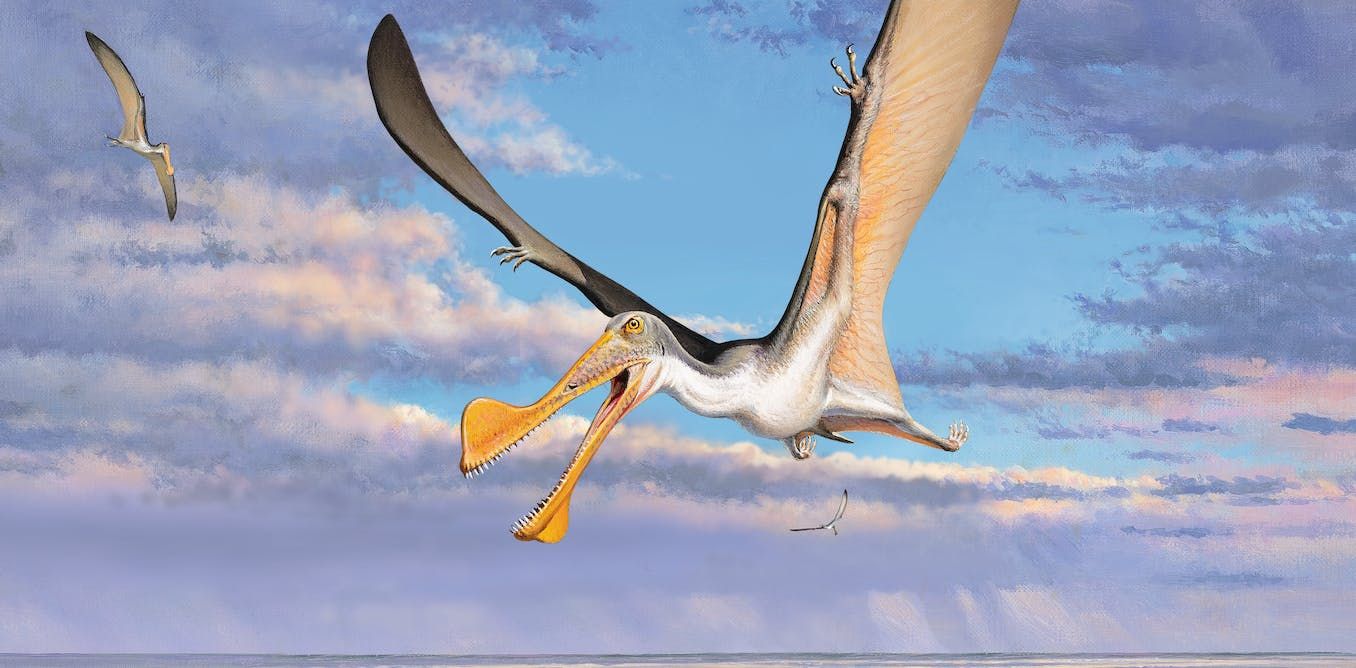 These magnificent 107-million-year-old pterosaur bones…