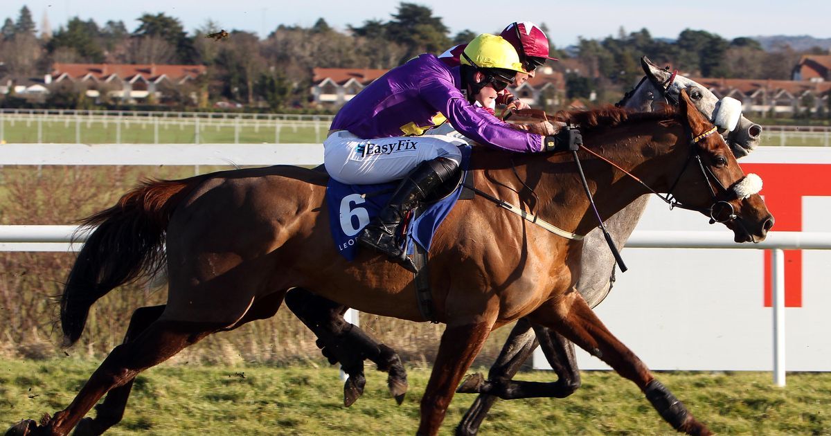 Trainer Dermot Weld pays tribute to former Ascot Gold…