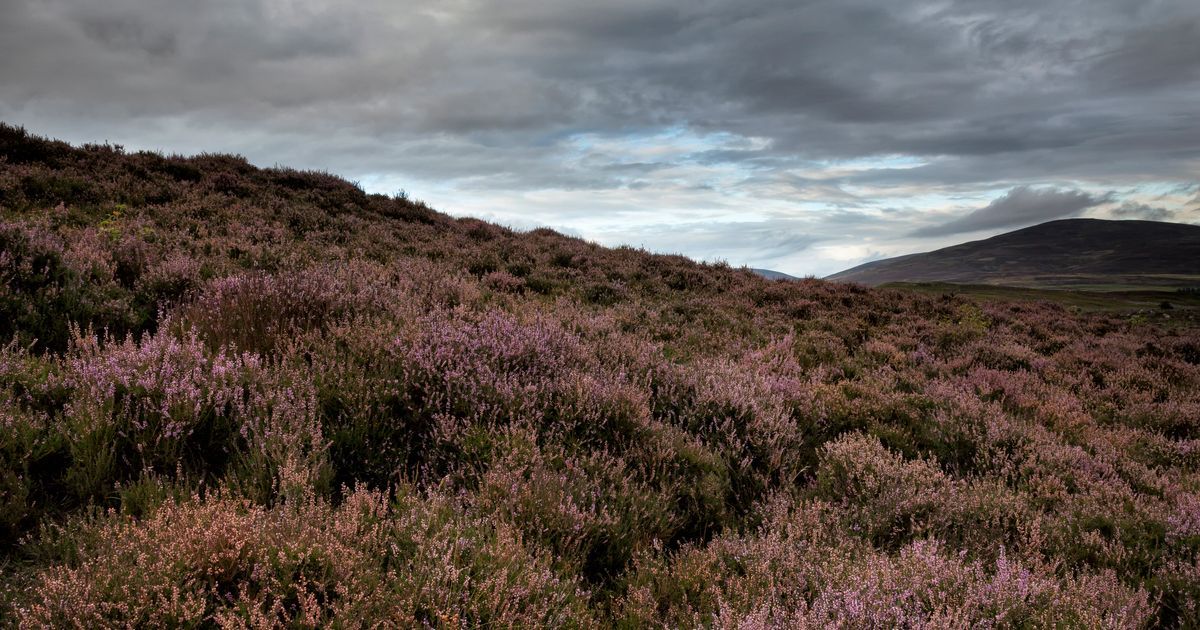 The ghosts in Scotland that 'emerge in June' including…