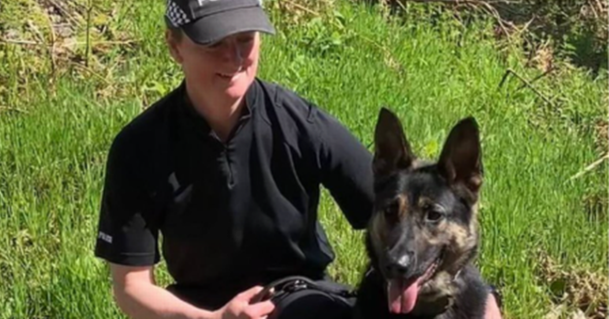 Hero police dog helps trace missing West Lothian…